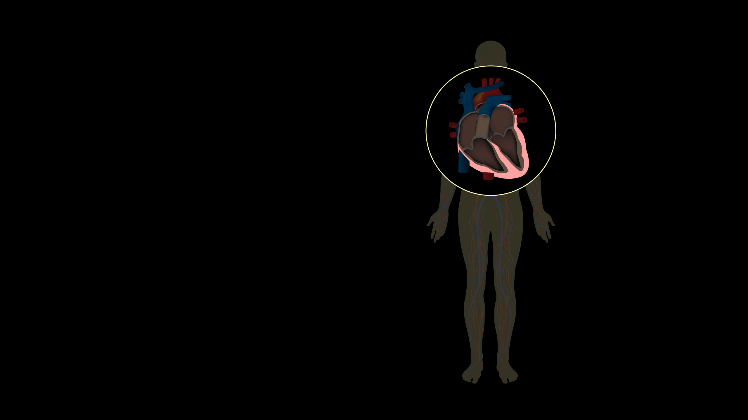 An Inside Look at Hypertrophic Cardiomyopathy