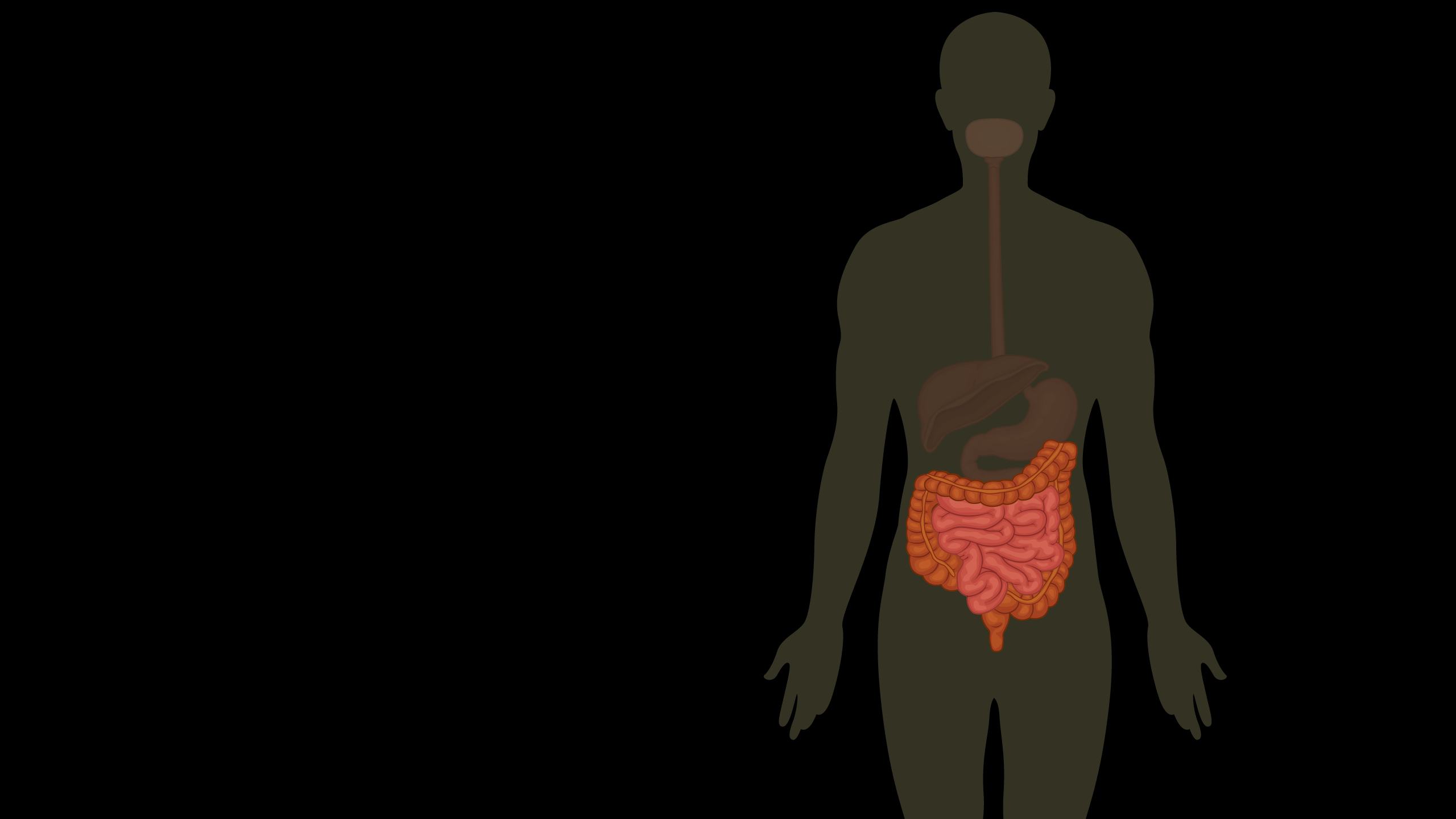 How Inflammation Affects Your Body